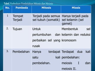 PPT mitosis.pptx