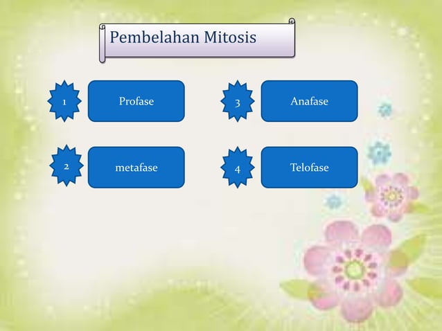 PPT mitosis.pptx