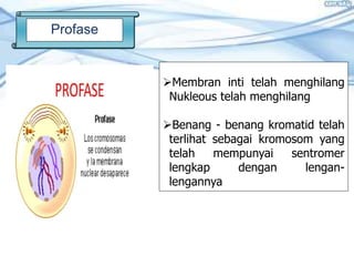 PPT mitosis.pptx