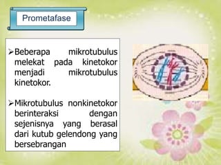 PPT mitosis.pptx