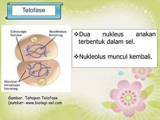 PPT mitosis.pptx