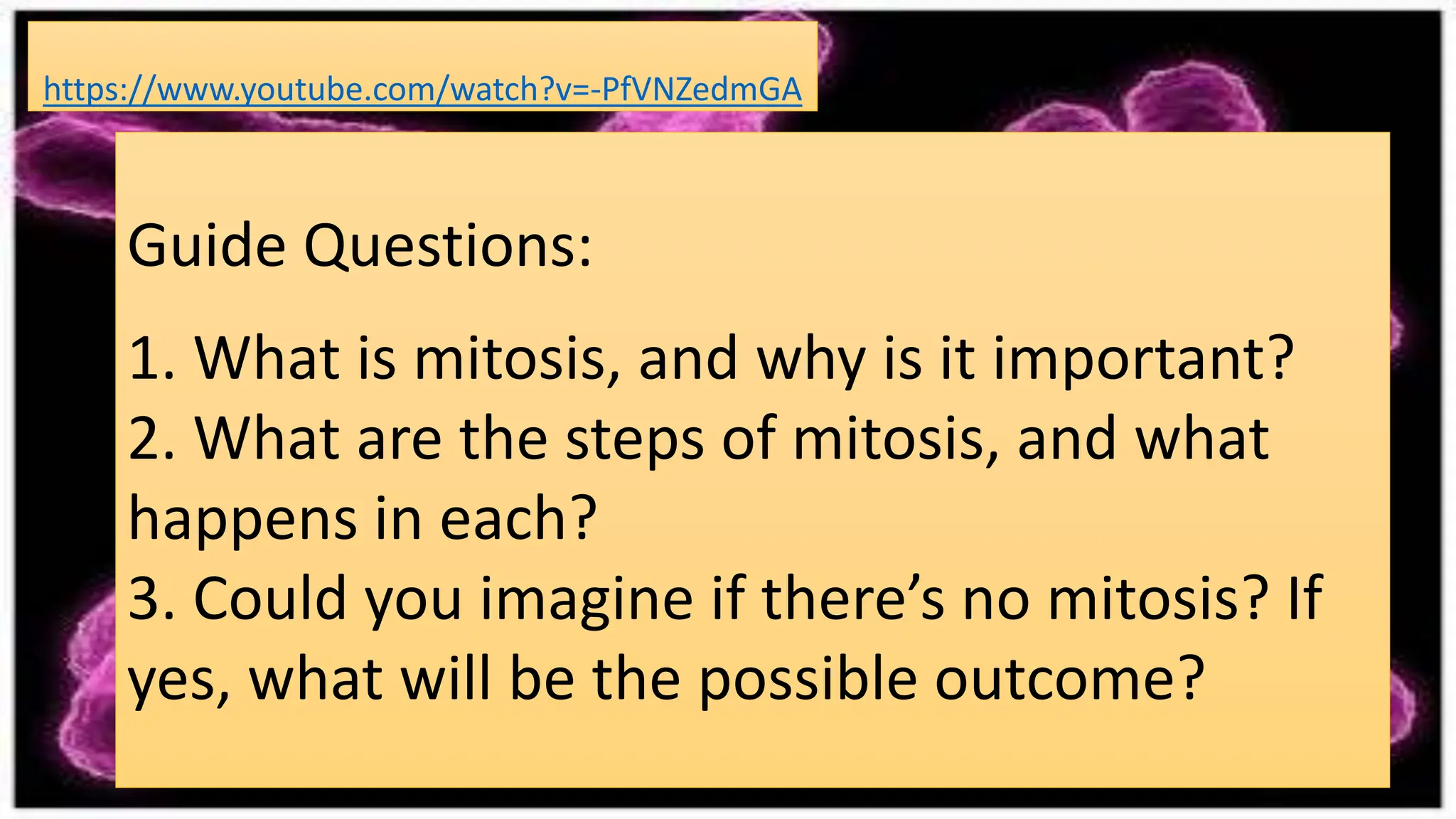 PPT MITOSIS in science 7 class how .pptx
