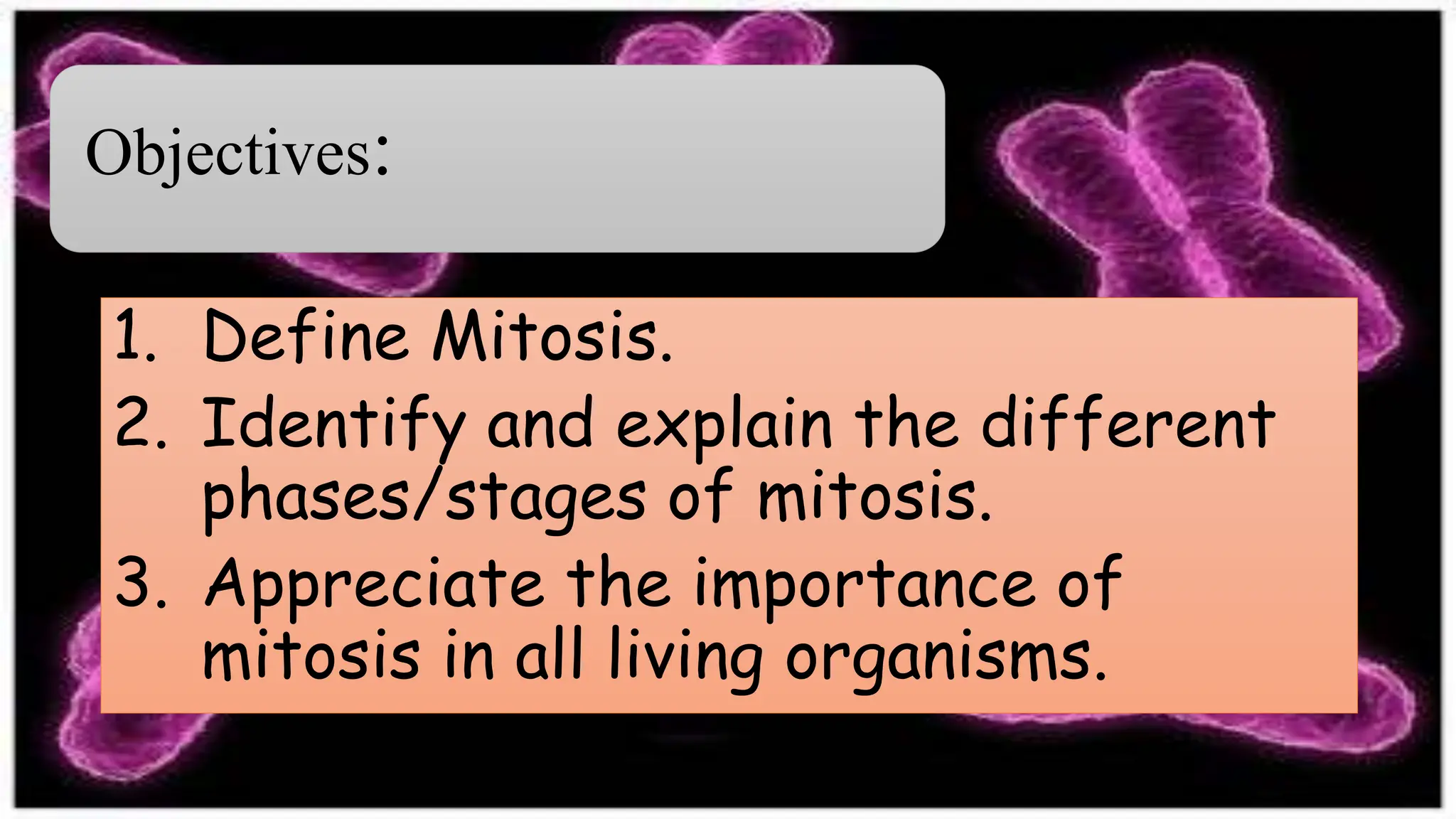 PPT MITOSIS in science 7 class how .pptx