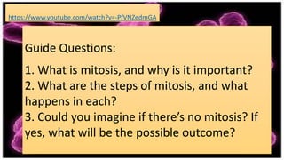 PPT MITOSIS in science 7 class how .pptx