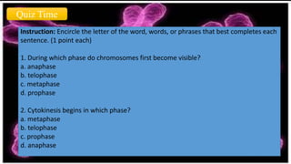 PPT MITOSIS in science 7 class how .pptx