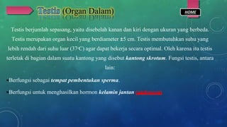 PPT MK ANATOMI SISTEM REPRODUKSI.pptx