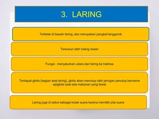PPT MK ANATOMI SISTEM RESPIRASI.ppt