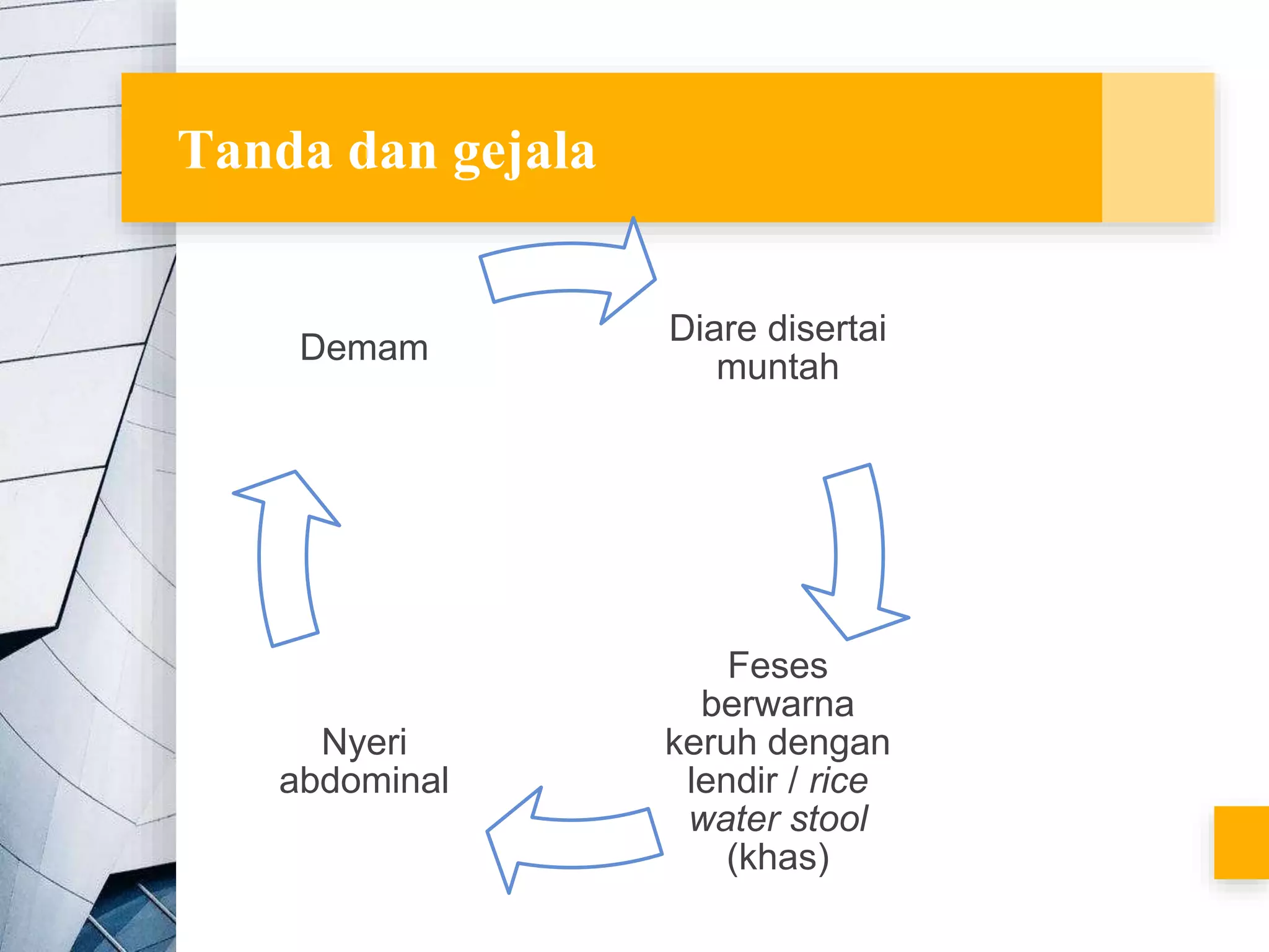 PPT MK PATOFISIOLOGI KOLERA.pptx