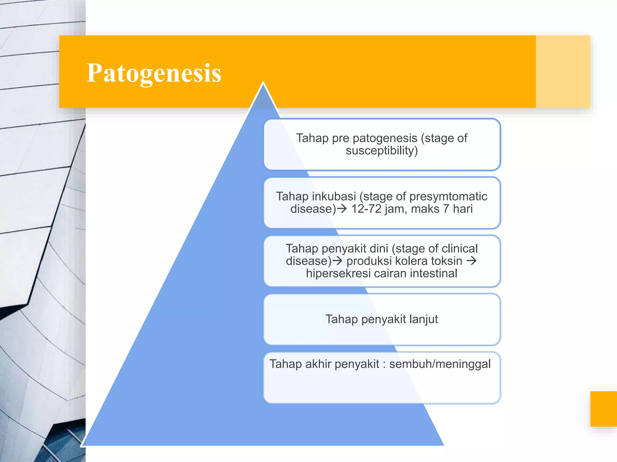 PPT MK PATOFISIOLOGI KOLERA.pptx