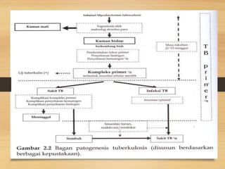 PPT MK PATOFISIOLOGI TBC.pptx