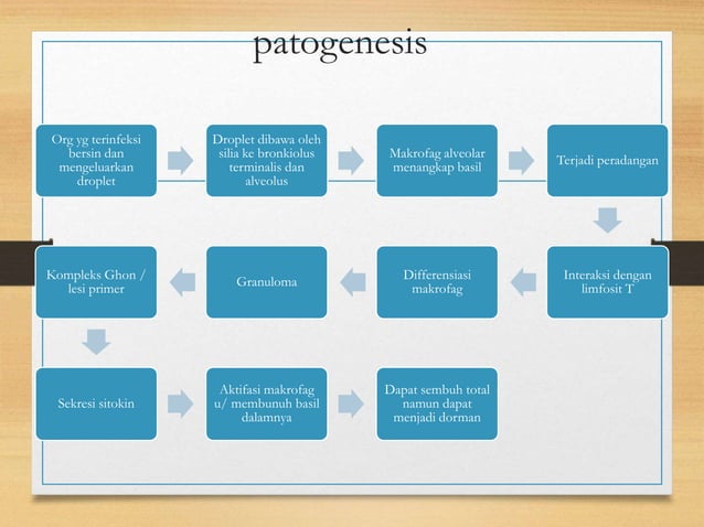 PPT MK PATOFISIOLOGI TBC.pptx