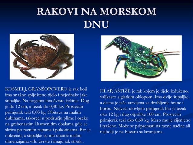 pptMmorskoDno4rBuba i ucenici.pssssssssspt | PPT