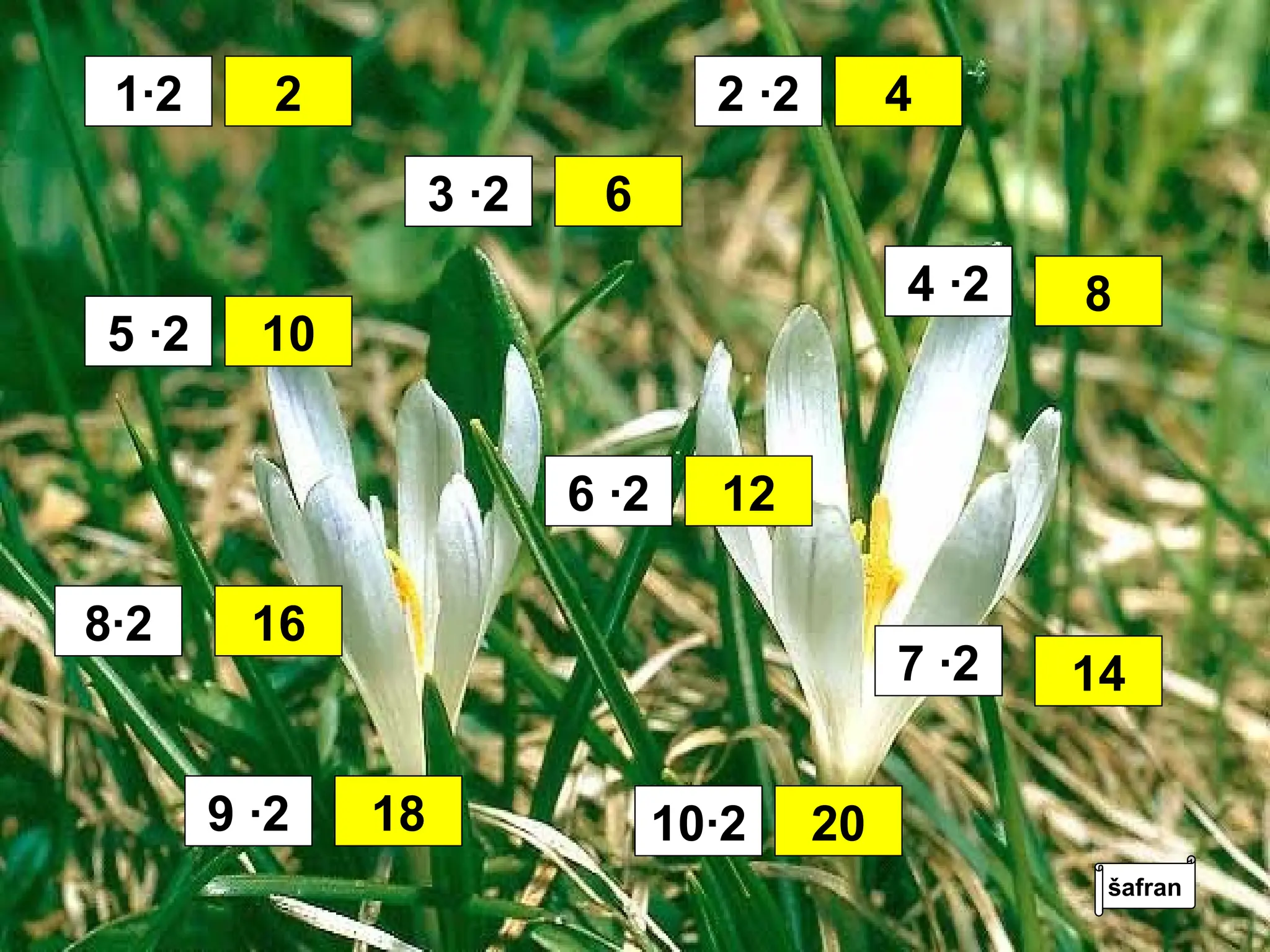 ppt Mnozenje brojem 2 za treci razred osnovne skole | PPT