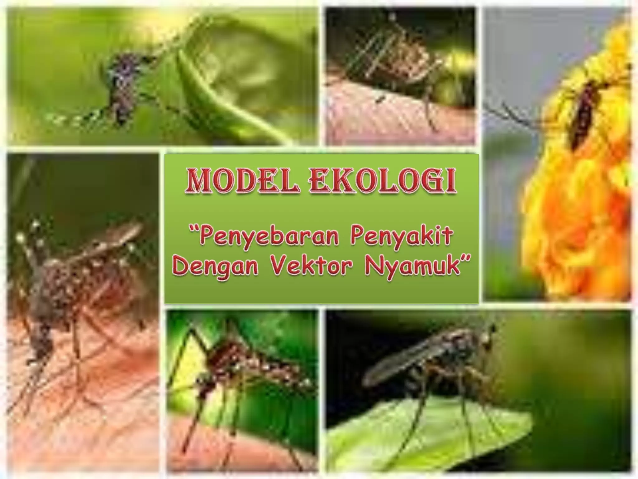 Ppt model ekologi ( pak eko ) | PPTX