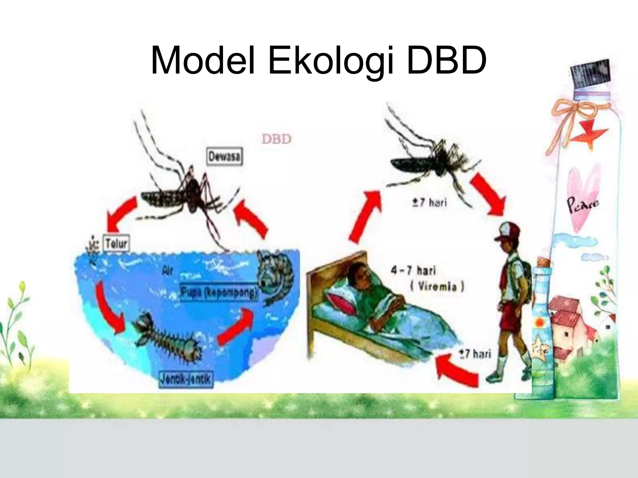 Ppt model ekologi ( pak eko ) | PPTX