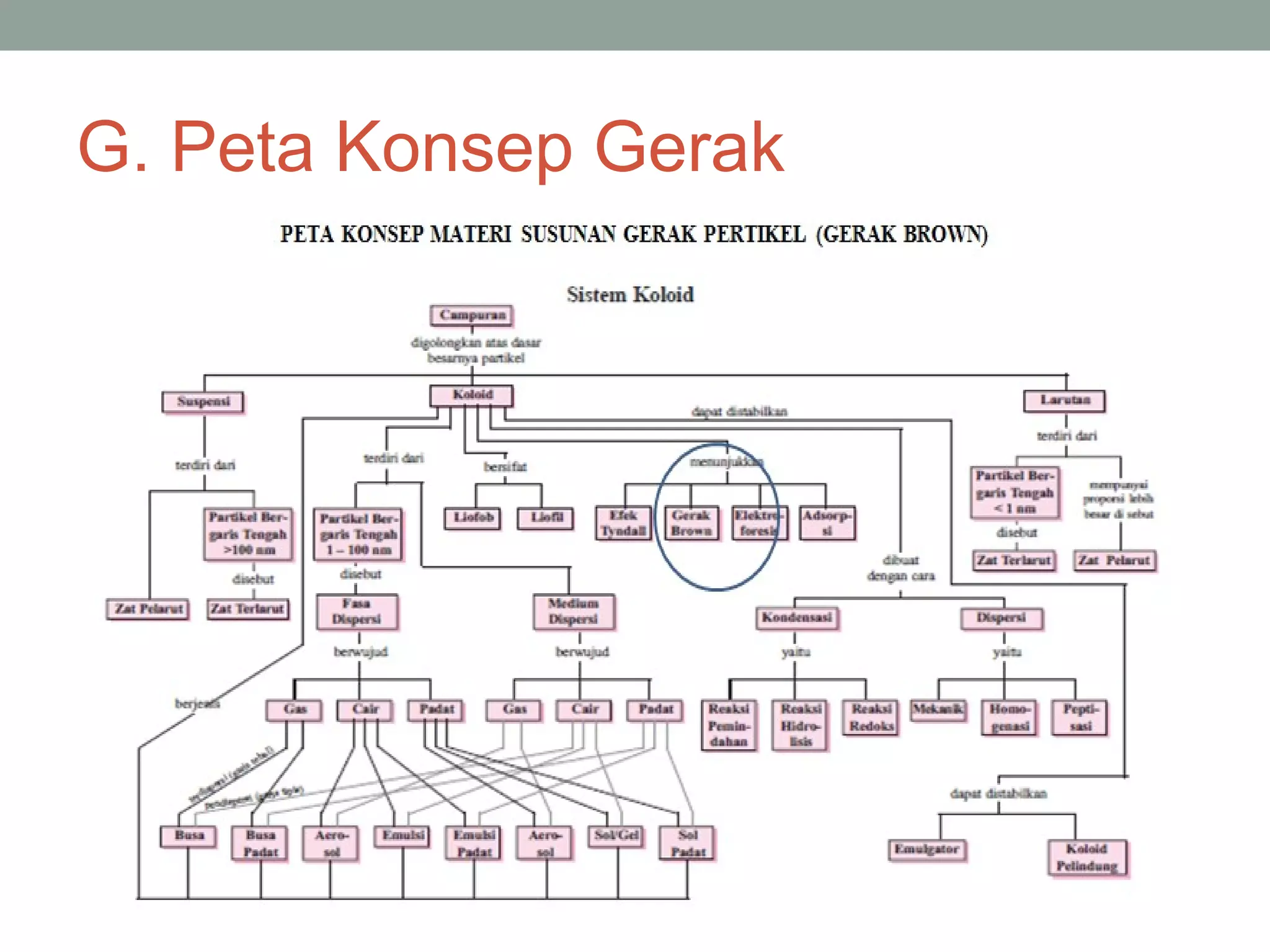 Ppt model webbed | PPT