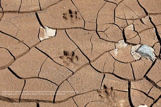 Ppt modified | PPT | Geography | Science