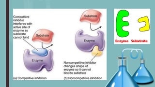 Pengaruh peningkatan kadar enzim dan modifier pada reaksi enzimatik | PPTX