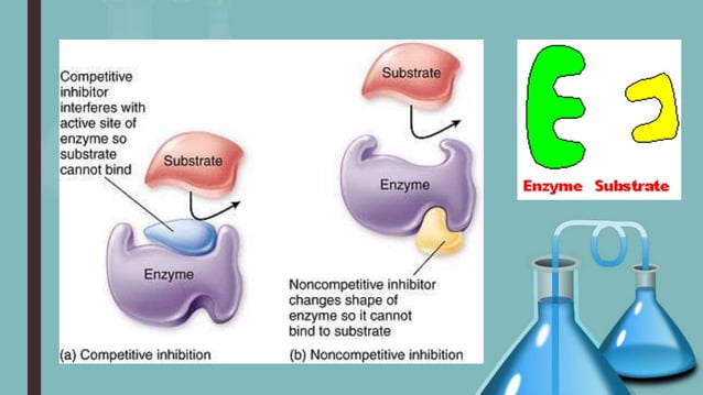 Pengaruh peningkatan kadar enzim dan modifier pada reaksi enzimatik | PPTX