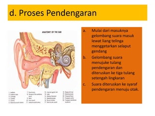 PPT MODUL 5 PENDIDIKAN ANAK BERKEBUTUHAN KHUSUS.pptx