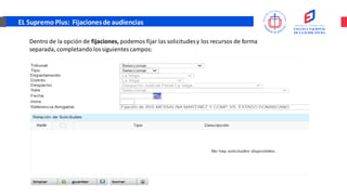 Sistemas de Gestión de Casos, Back Office y Supremo Plus | PDF