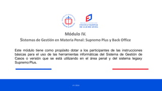 Sistemas de Gestión de Casos, Back Office y Supremo Plus | PDF