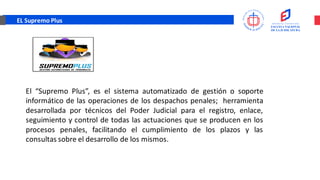 Sistemas de Gestión de Casos, Back Office y Supremo Plus | PDF