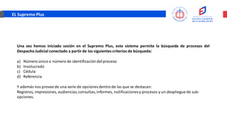 Sistemas de Gestión de Casos, Back Office y Supremo Plus | PDF