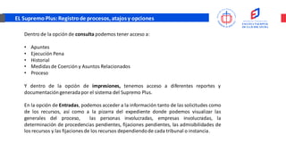 Sistemas de Gestión de Casos, Back Office y Supremo Plus | PDF