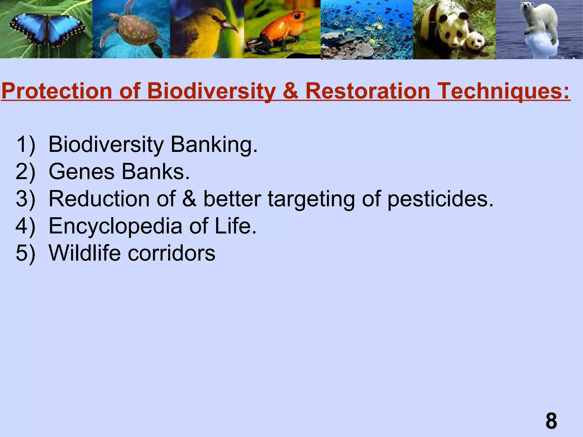 Biodiversity | PPT