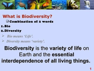 Biodiversity | PPT