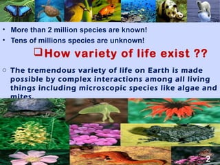 Biodiversity | PPT