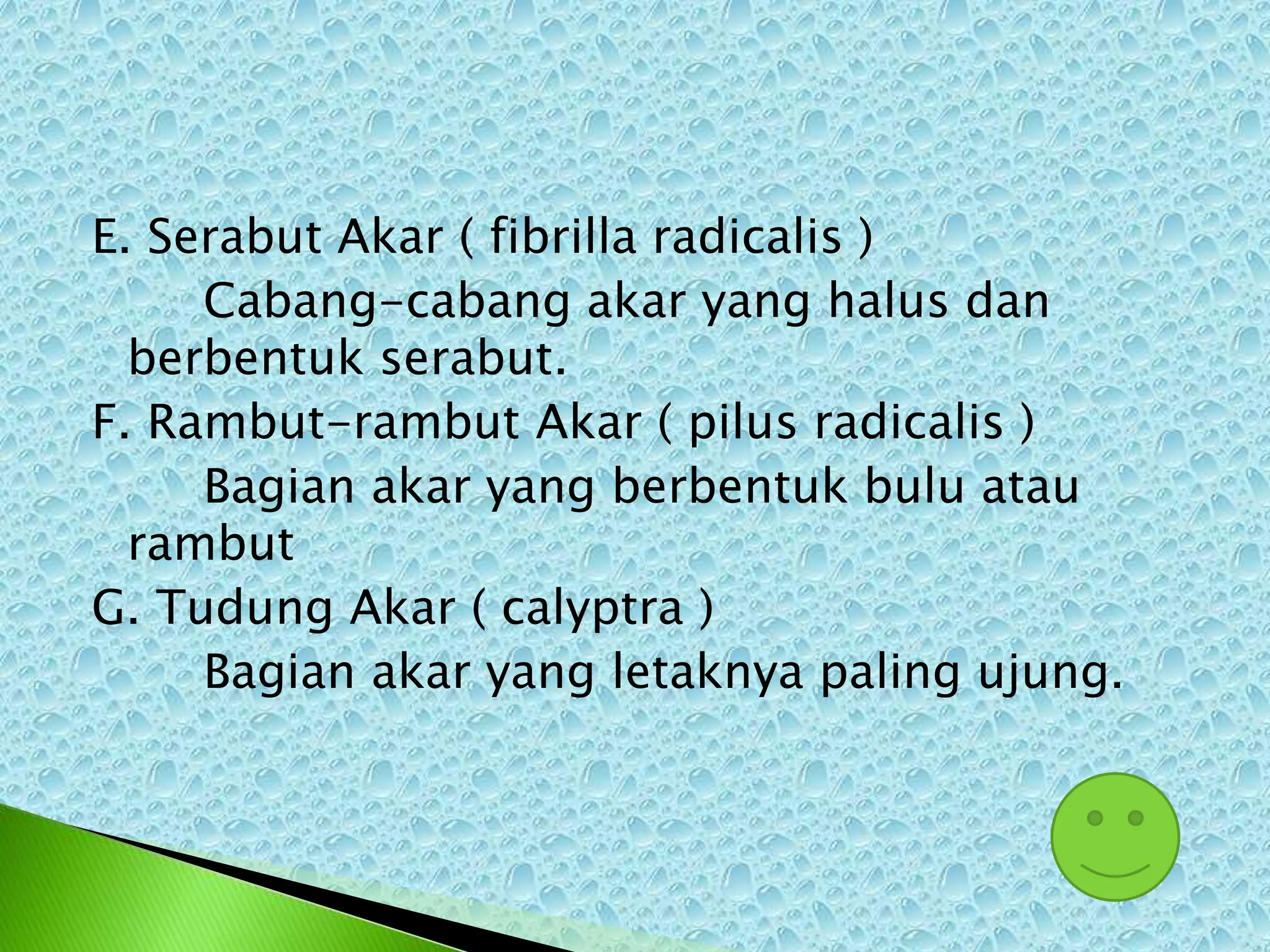 PPT_Morfologi_Akar Tumbuhan dan contohnyaptx | PPTX