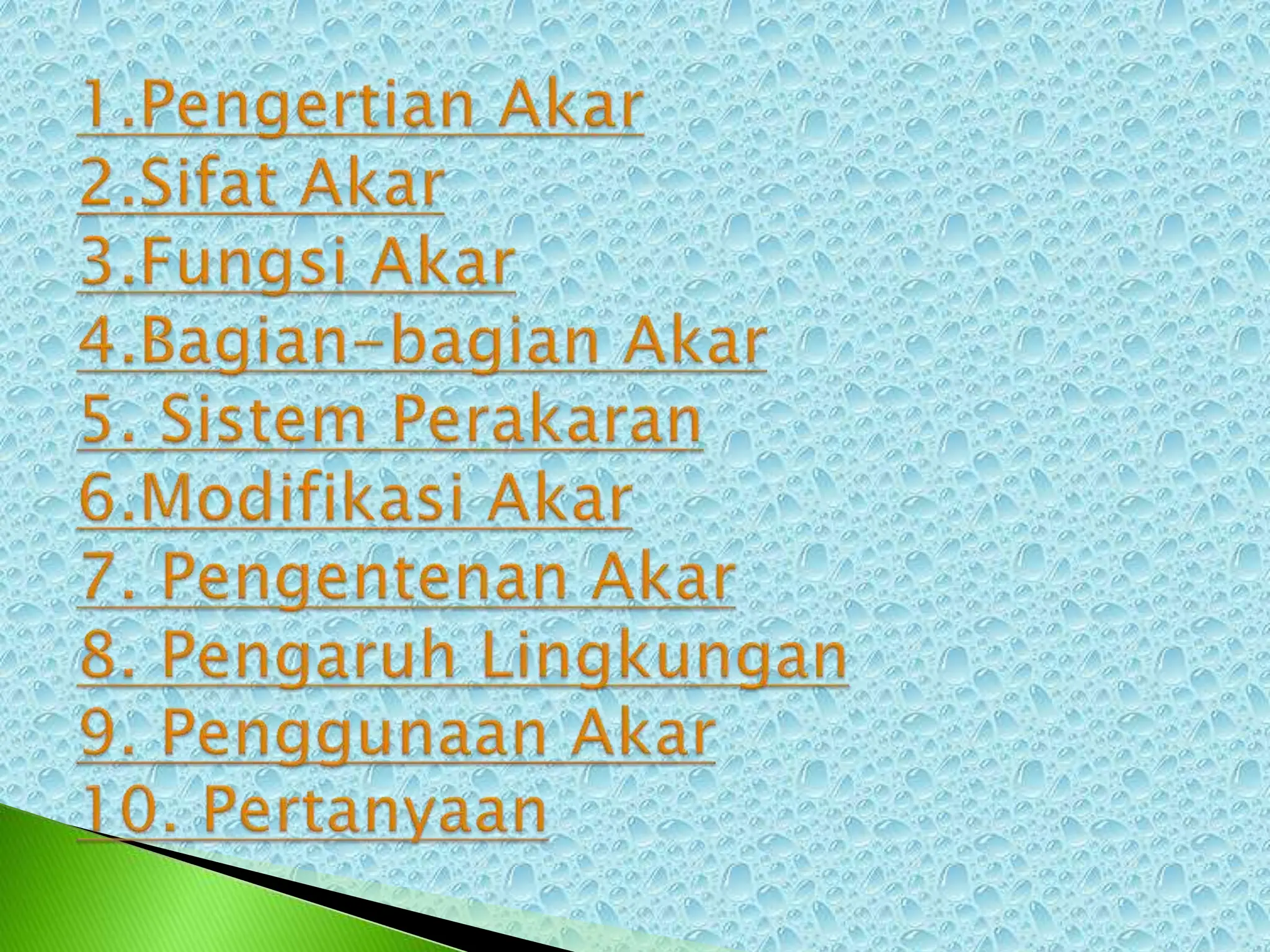 PPT_Morfologi_Akar Tumbuhan dan contohnyaptx | PPTX