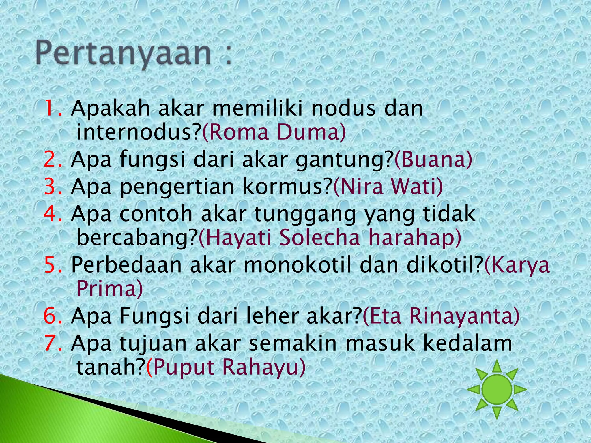 PPT_Morfologi_Akar Tumbuhan dan contohnyaptx | PPTX
