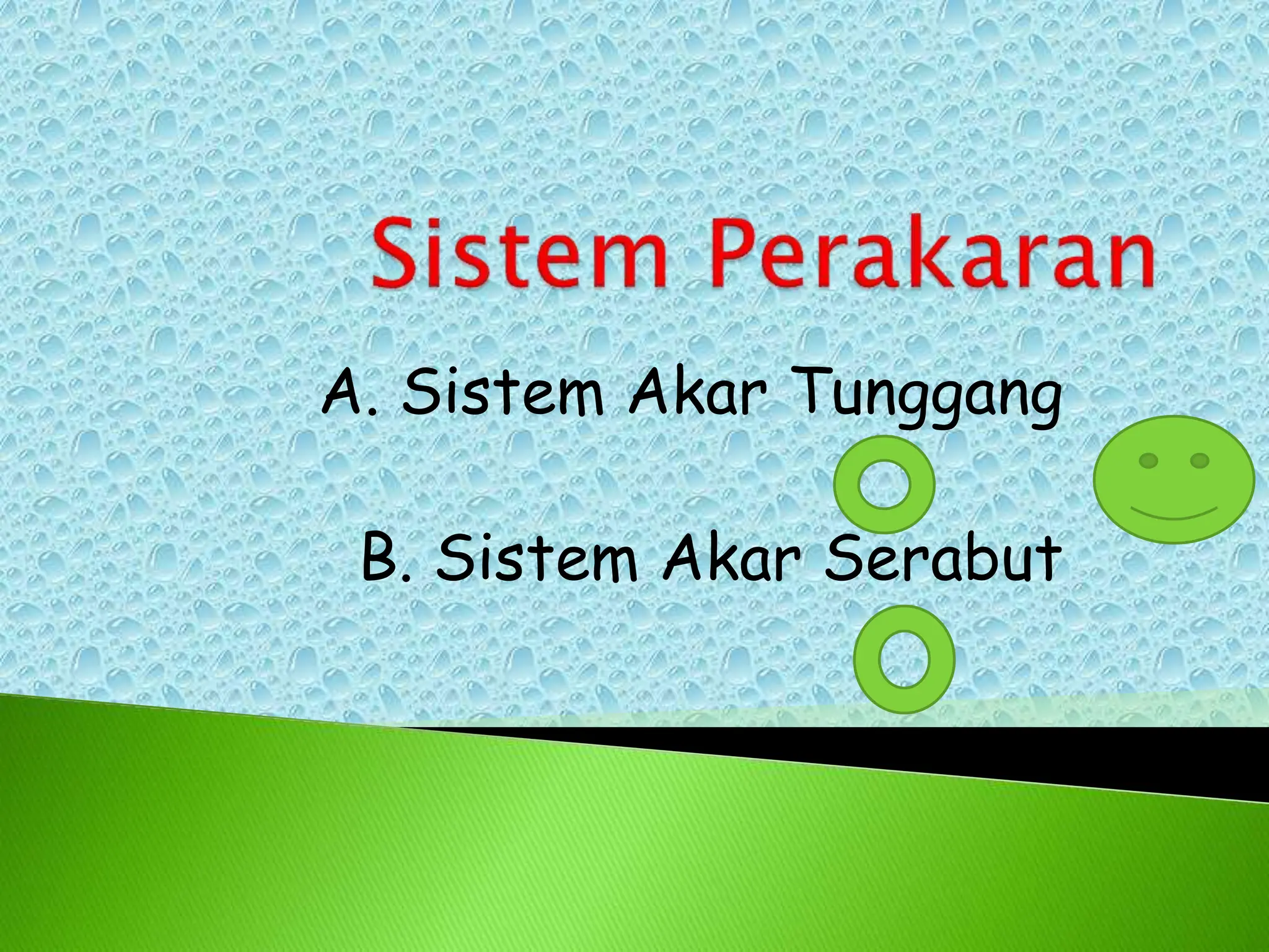 PPT_Morfologi_Akar Tumbuhan dan contohnyaptx | PPTX
