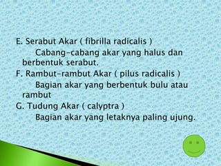 PPT_Morfologi_Akar Tumbuhan dan contohnyaptx | PPTX