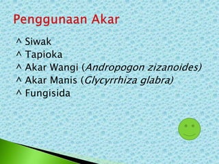 PPT_Morfologi_Akar Tumbuhan dan contohnyaptx | PPTX