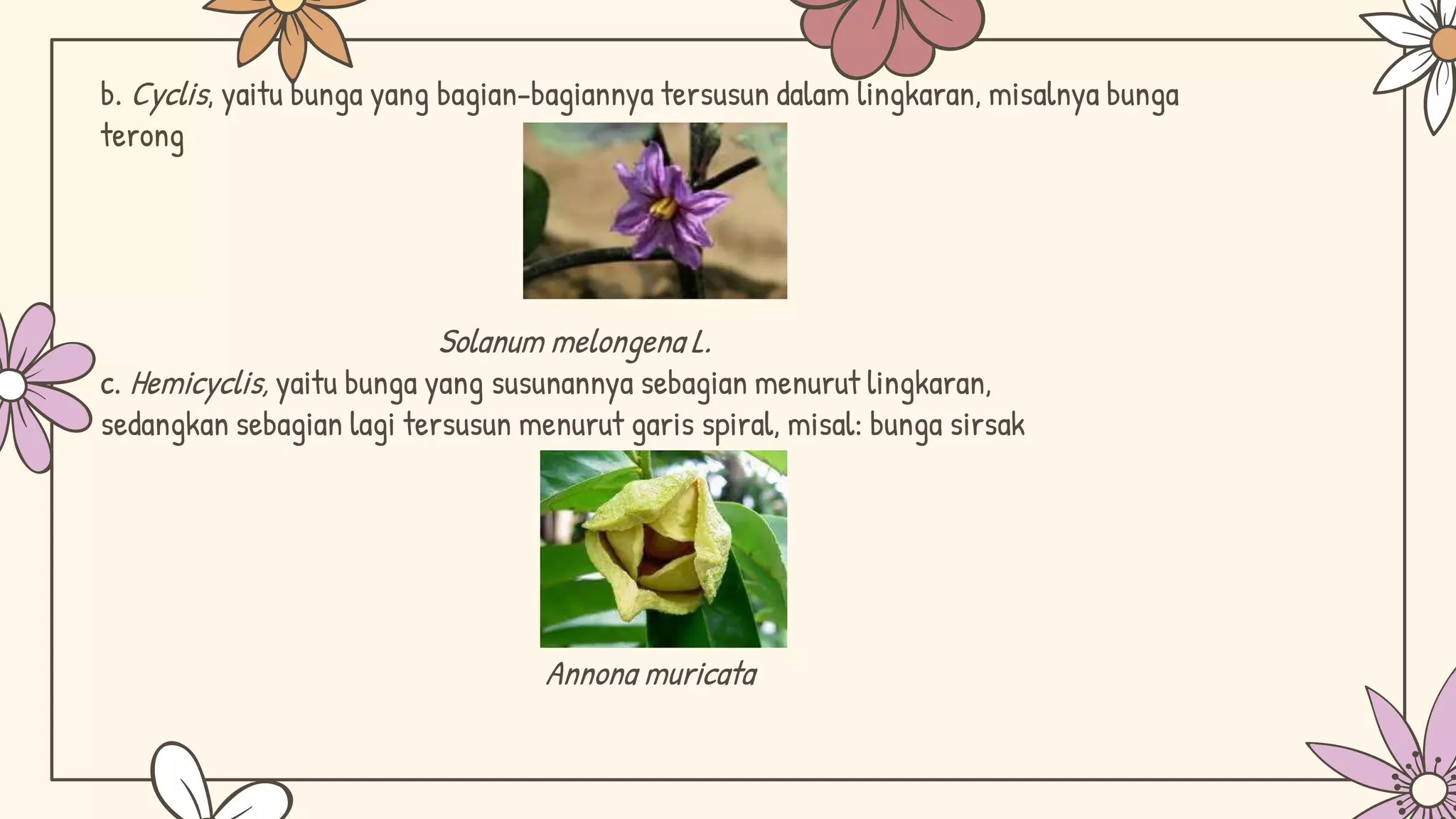 PPT MORFOLOGI BUNGA KELOMPOK 4.pptx