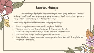 PPT MORFOLOGI BUNGA KELOMPOK 4.pptx