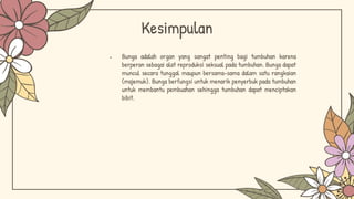 PPT MORFOLOGI BUNGA KELOMPOK 4.pptx
