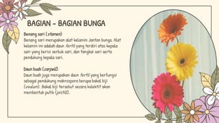 PPT MORFOLOGI BUNGA KELOMPOK 4.pptx