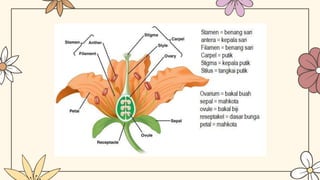 PPT MORFOLOGI BUNGA KELOMPOK 4.pptx