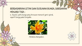 PPT MORFOLOGI BUNGA KELOMPOK 4.pptx