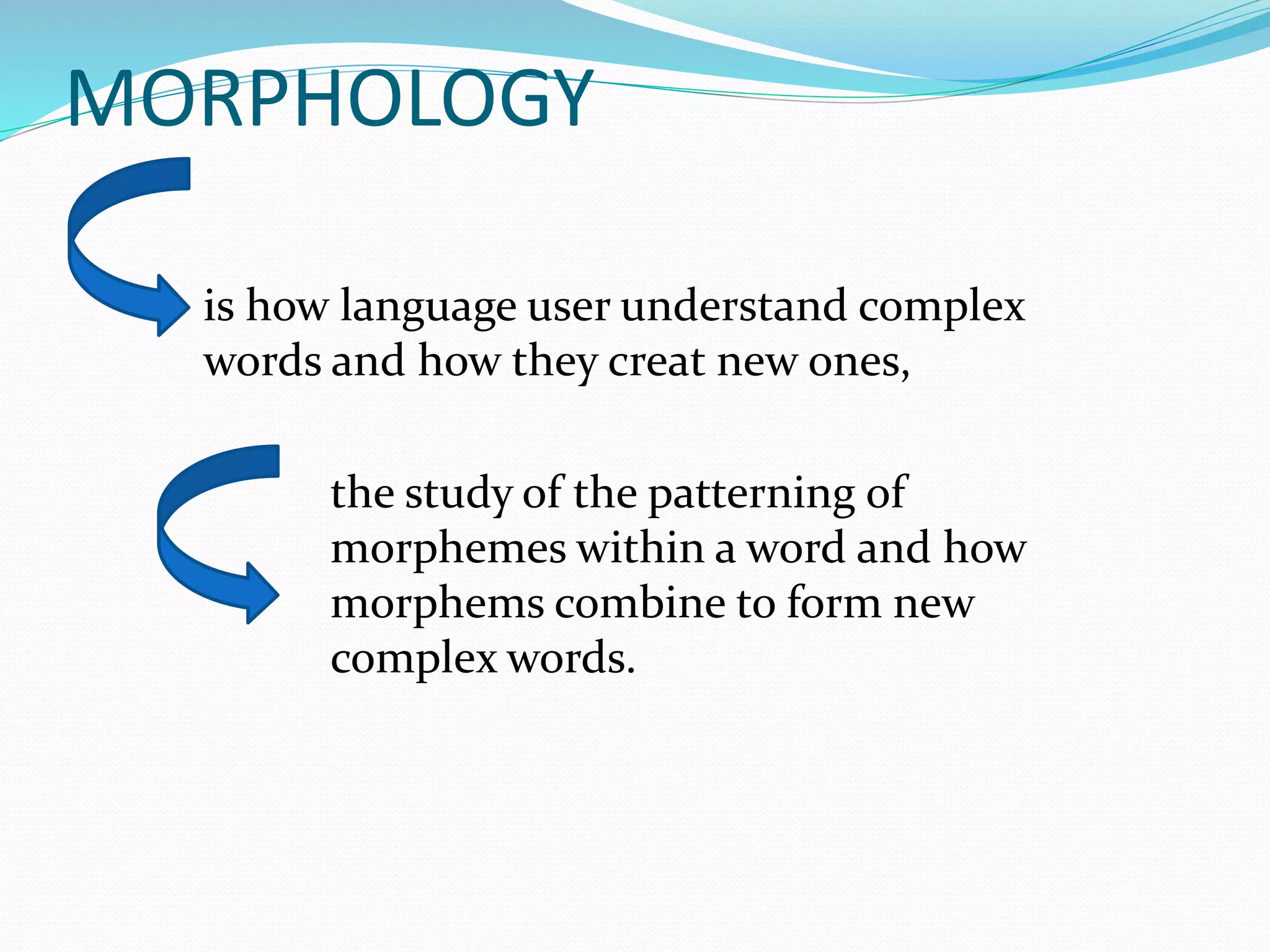 Ppt morphology | PPT