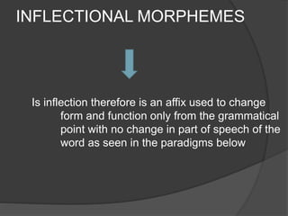 Ppt morphology | PPT