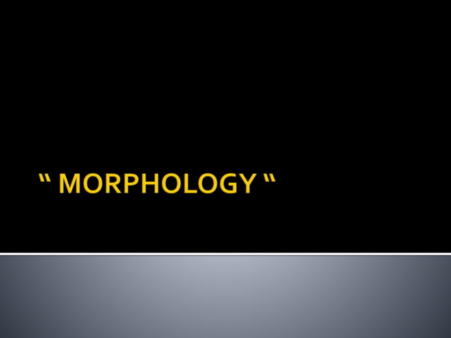 Ppt morphology | PPT