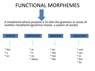 Ppt morphology | PPT