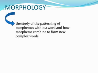 Ppt morphology | PPTX | Geology | Science