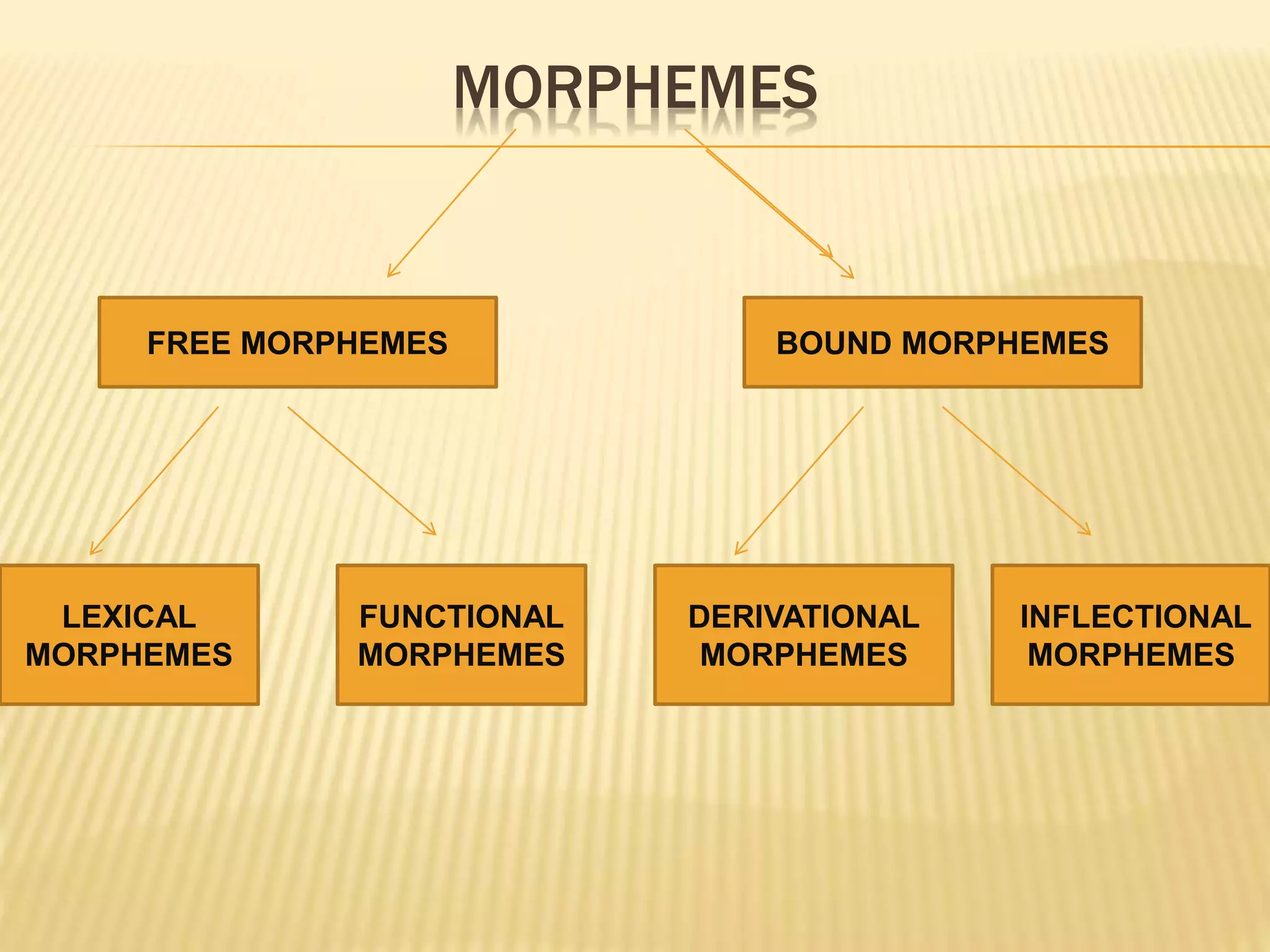 Ppt morphology | PPTX